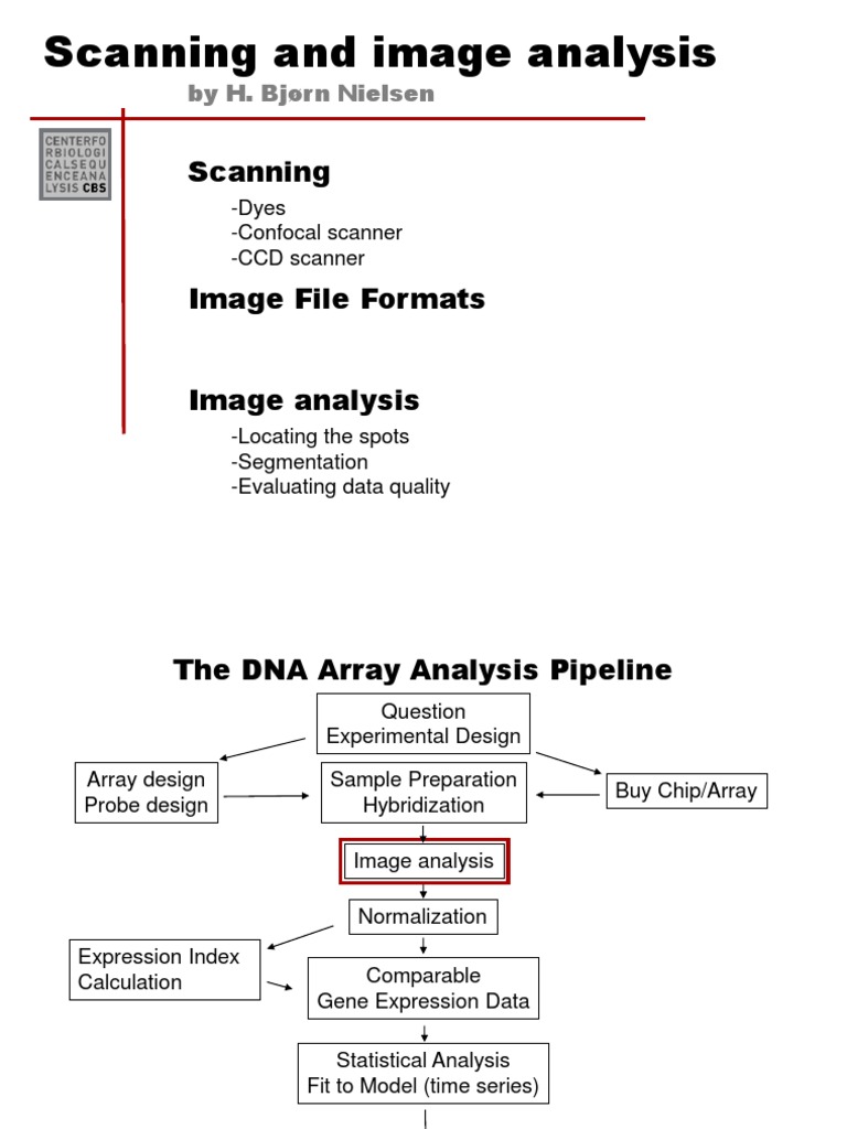 Scanning and Image Analysis | PDF | Dna Microarray | Image Scanner