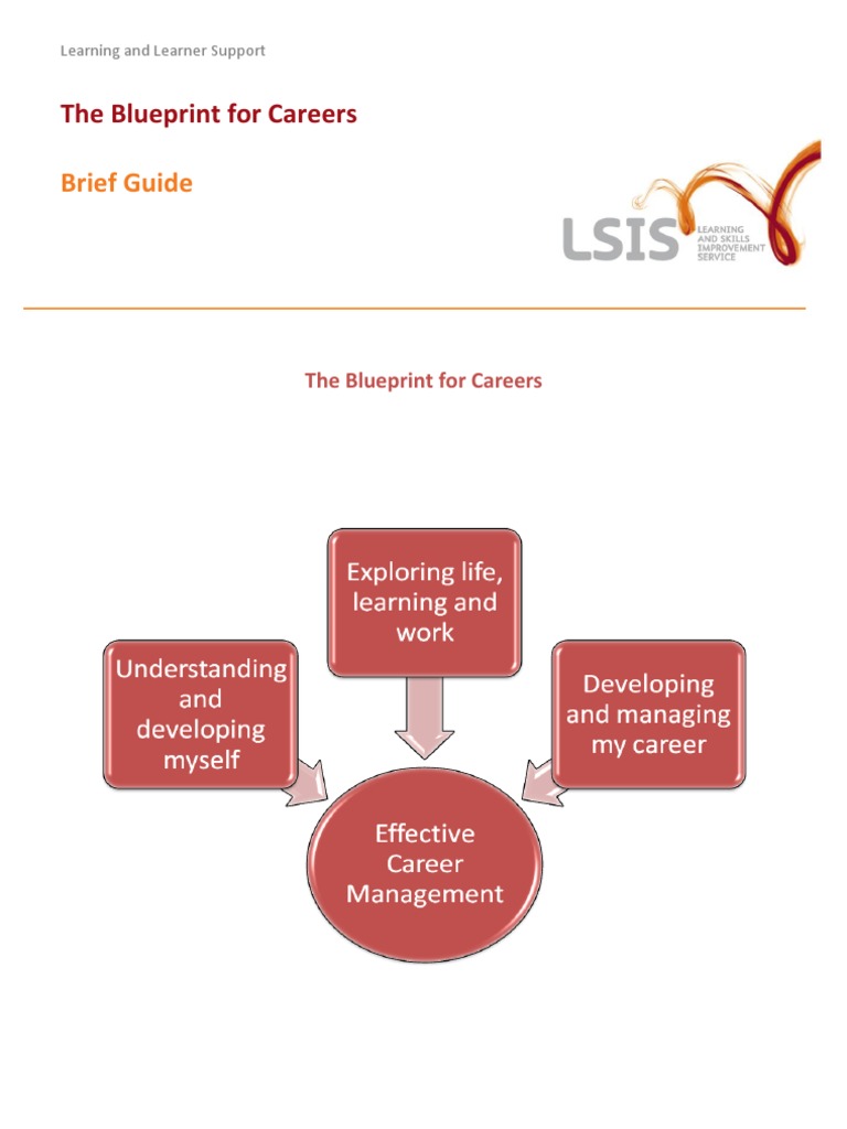 Brief Guide To The Blueprint | PDF | Curriculum | Learning