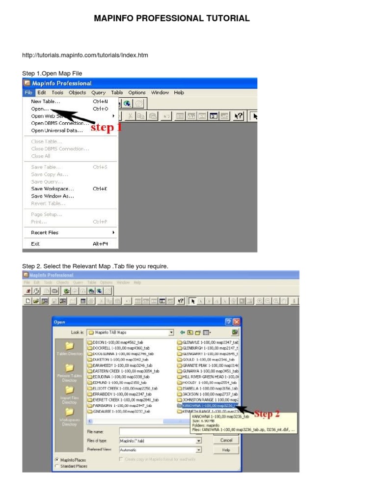 Mapinfo Professional Tutorial | PDF