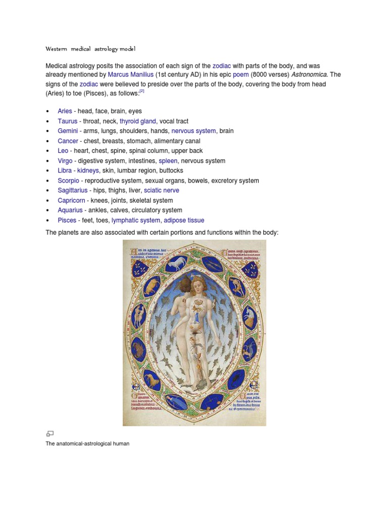 The Interconnected Systems of the Body: A Comprehensive Overview of the ...