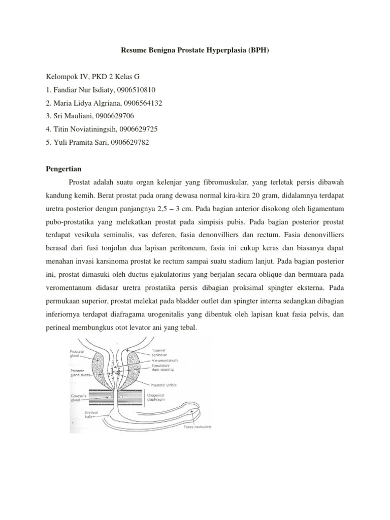 Resume Benigna Prostate Hyperplasia | PDF