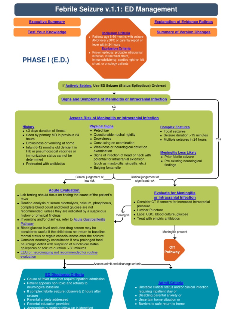 Algorithm Febrile Seizures | PDF | Meningitis | Epilepsy