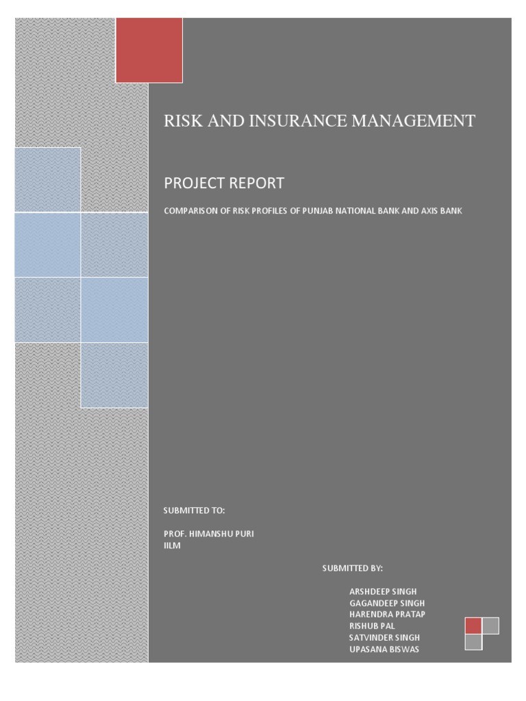 Final Risk and Insurance Management | PDF
