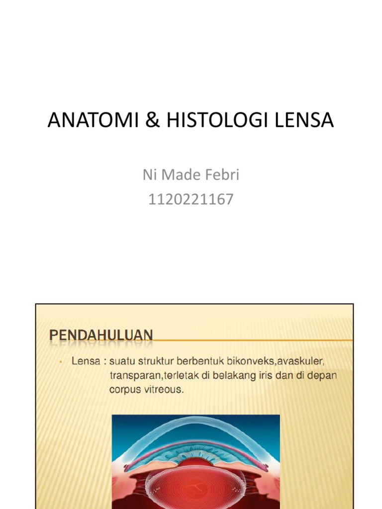 Anatomi & Histologi Lensa | PDF | Griya & Taman