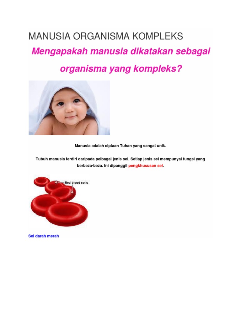 Manusia Merupakan Organisma Multisel Yang Kompleks | PDF