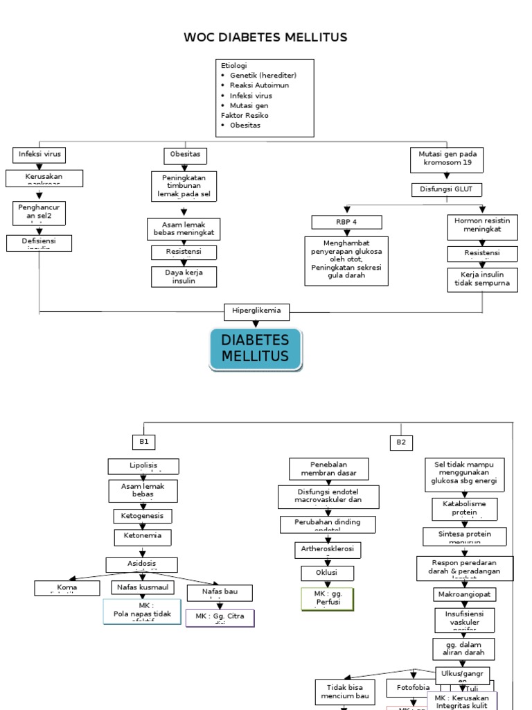 Woc Diabetes Mellitus | PDF