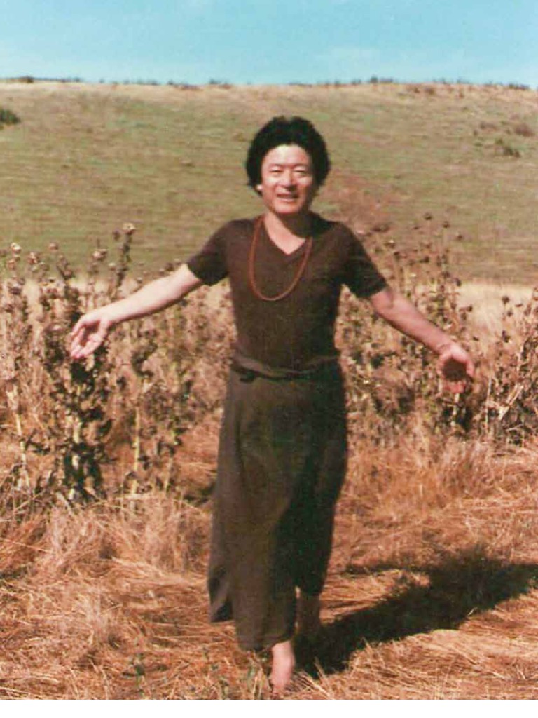 The Wisdom Mind of Thinley Norbu Rinpoche | PDF | Buddha Nature ...