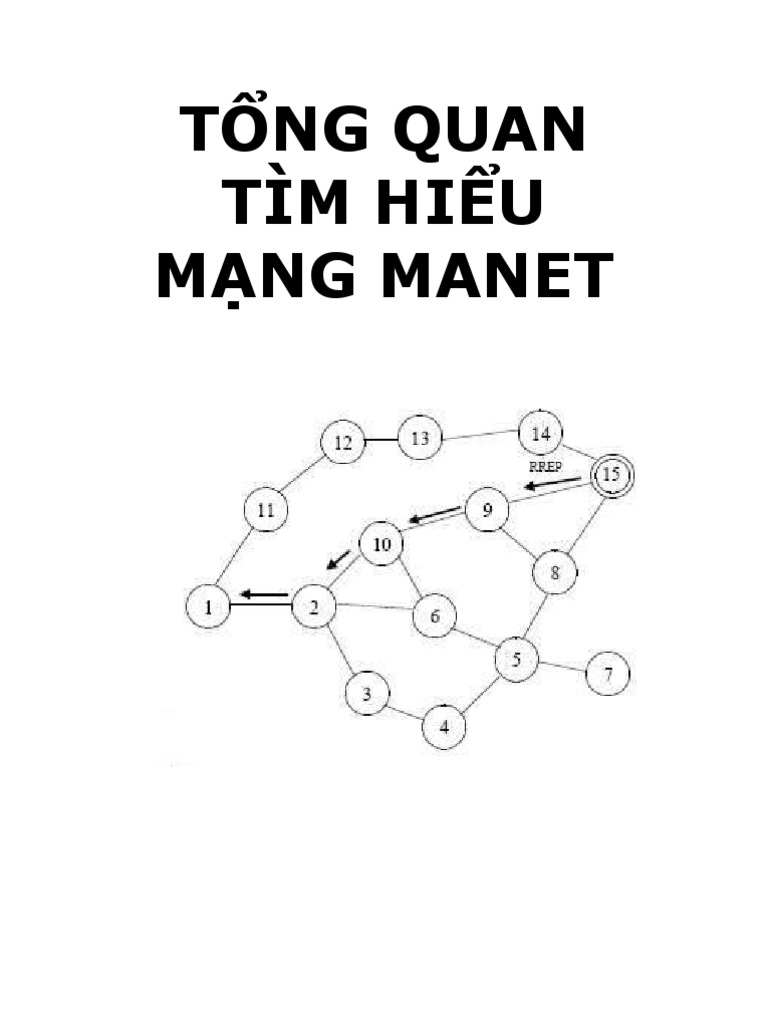 Tim Hieu MANET | PDF