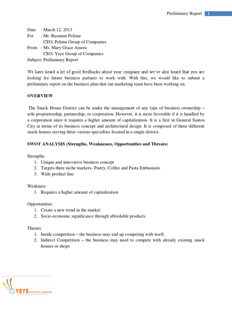 Preliminary Report | PDF