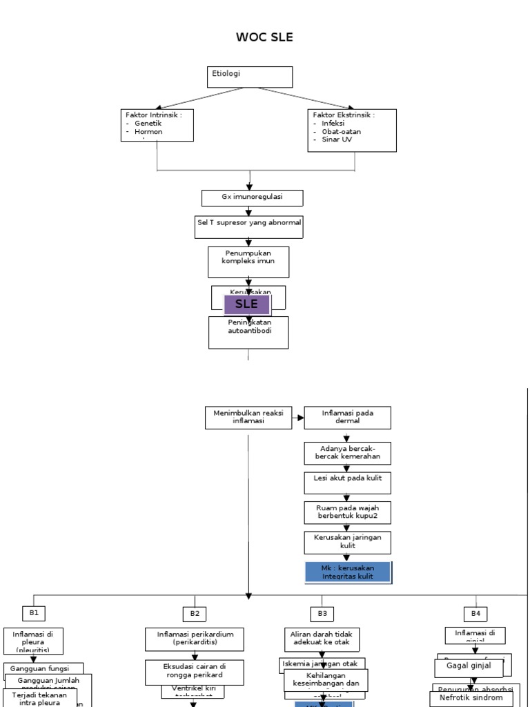 Woc Sle | PDF | Pengembangan Diri