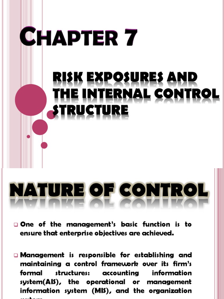 Risk Exposures and The Internal Control Structure | PDF