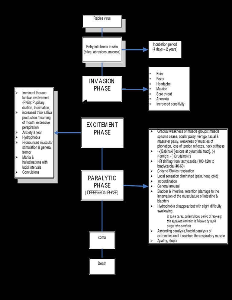 Rabies Pathophysiology