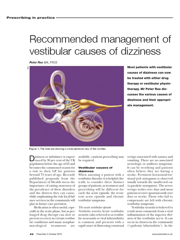 Vestibular Causes of Dizziness | Vertigo | Vestibular System