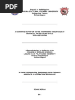 INSIGHT Paper Format | PDF | Written Communication | Text