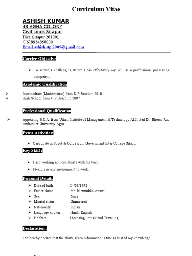 Curriculum Vitae: Ashish Kumar | PDF