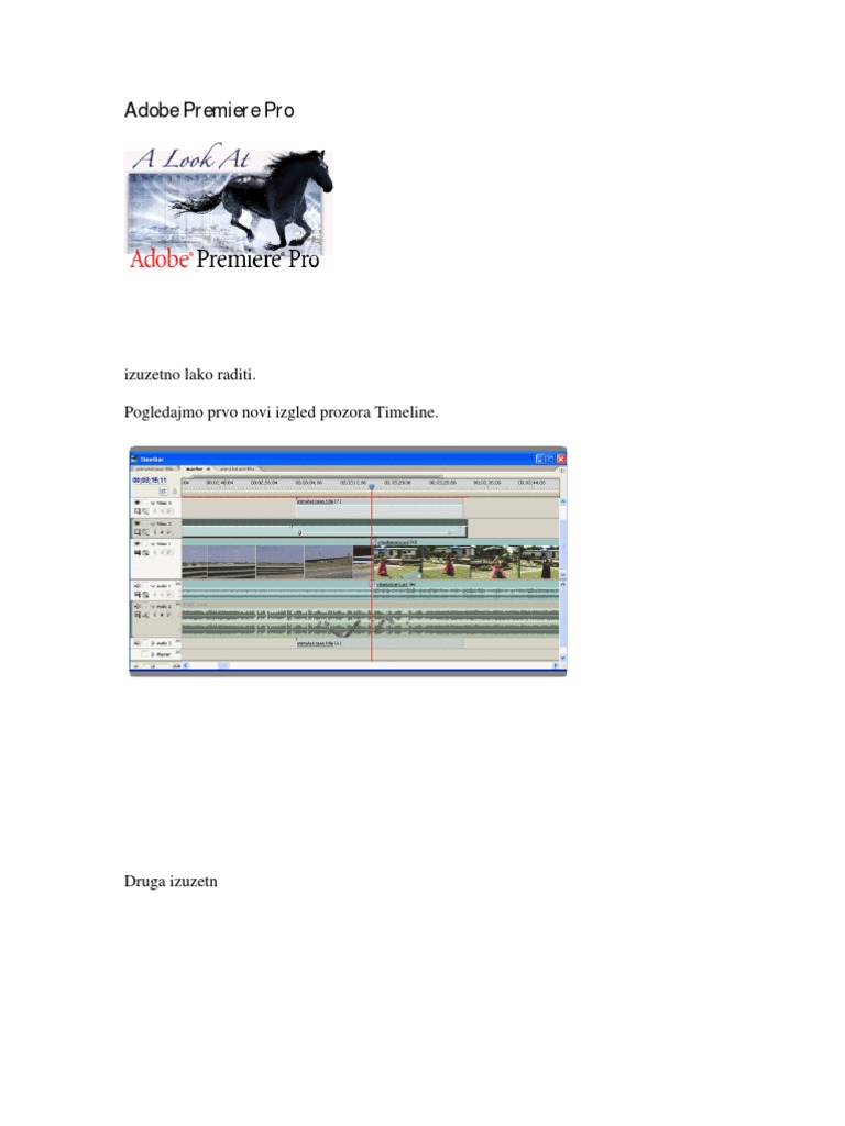Adobe Premiere Pro | PDF