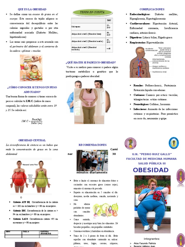 TRIPTICO | PDF | Tejido adiposo | Obesidad