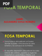 Anatomía de la Fosa Temporal | PDF | Cráneo | Cabeza y cuello humanos