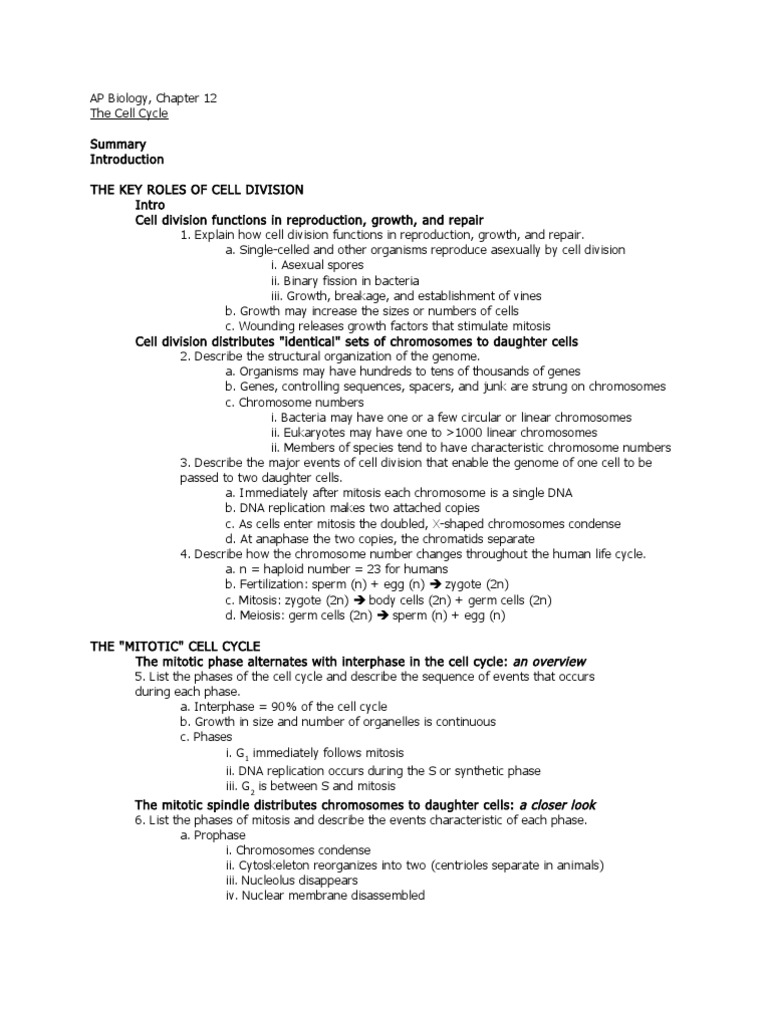 AP Bio Chapter 12 Notes | PDF | Mitosis | Meiosis