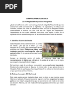Ensayo Fotografico y Ejemplos | PDF | Ensayos