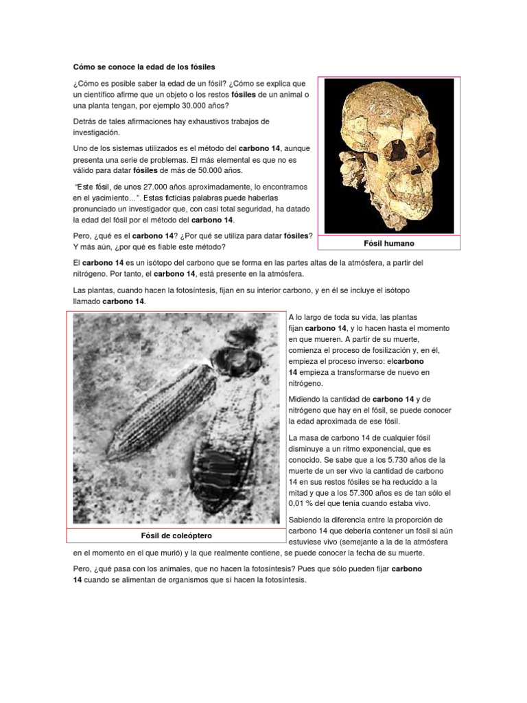 Datación de fósiles con carbono 14 | PDF | Datación por radiocarbono ...