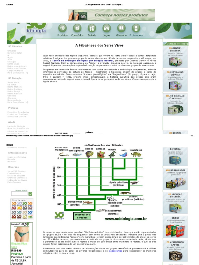 A Filogênese Dos Seres Vivos - Só Biologia | Download grátis PDF ...