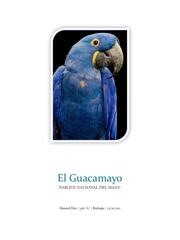 Guacamayo Azul en el Parque Manu | PDF | Selva amazónica | Aves