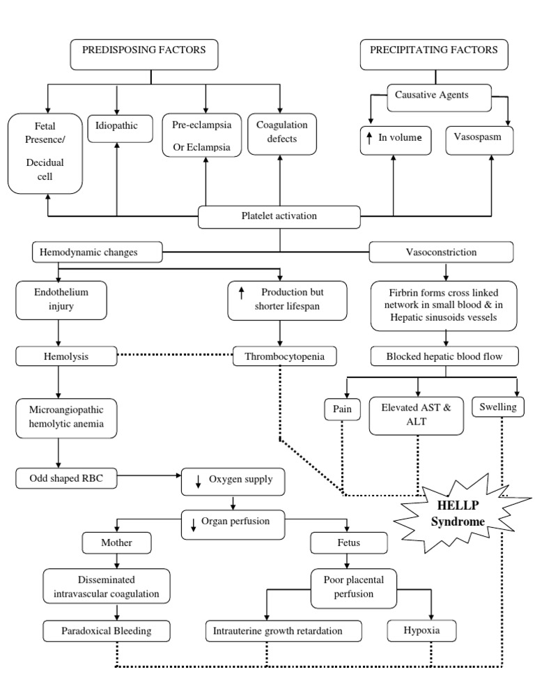 Pathophysiology of HELLP Syndrome | PDF | Science & Mathematics