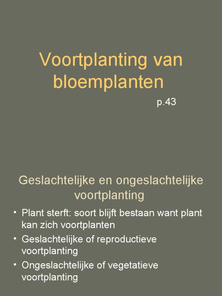 Voortplanting Van Bloemplanten