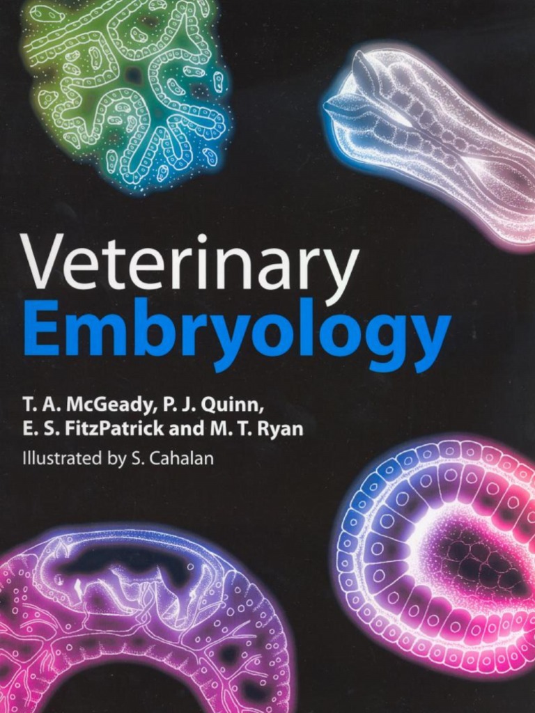 Veterinary Embriology | PDF