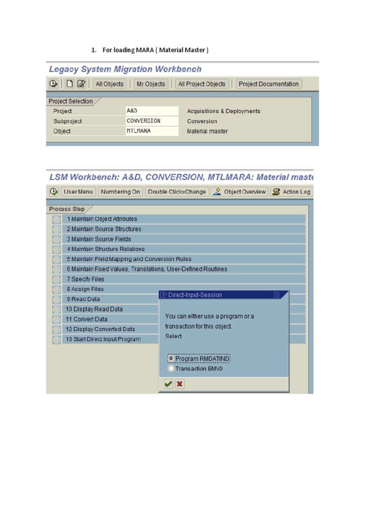 LSMW Execution Docu | PDF | Computers