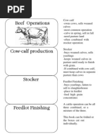 Beef Cattle Production and Management Training Manual .pdf | Calf | Bull