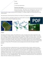 Ava'S - Amazon Rainforest Brochure | PDF | Amazon Rainforest | Trees
