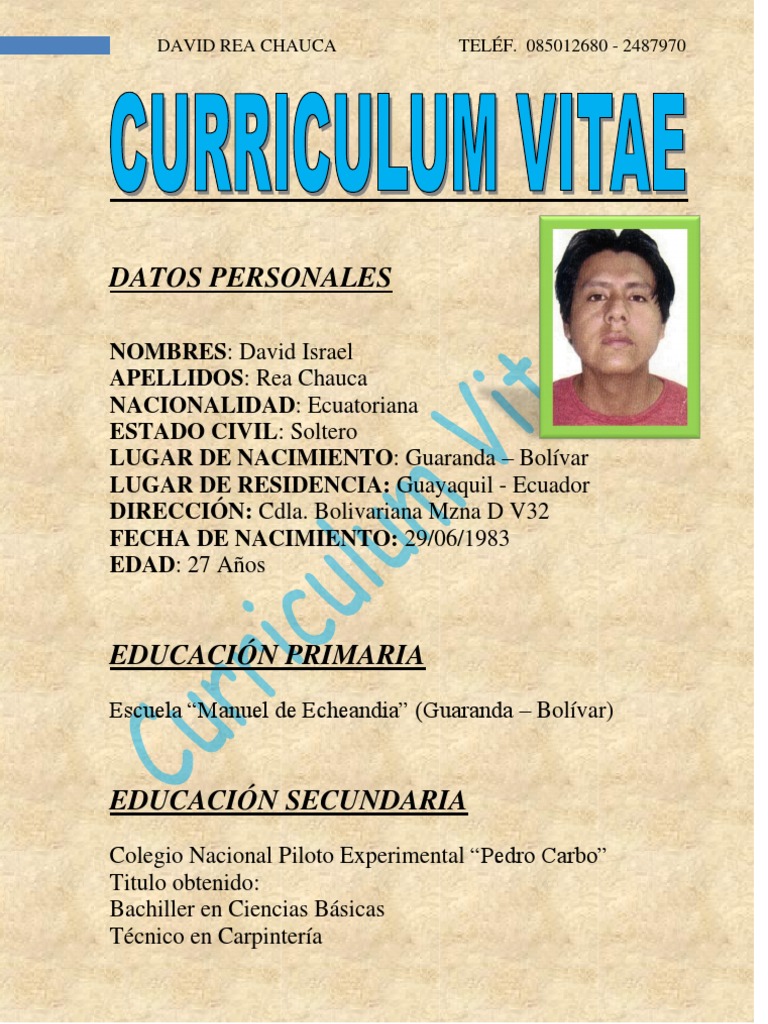 Perfil Profesional de David Rea Chauca | PDF