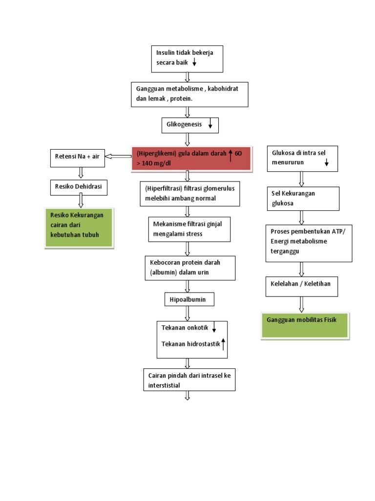 patofisiologi NEFROPATI DIABETIK