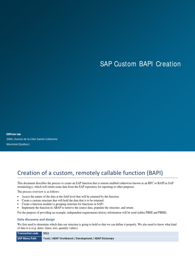 Custom Bapi Creation Pdf Parameter Computer Programming Subroutine