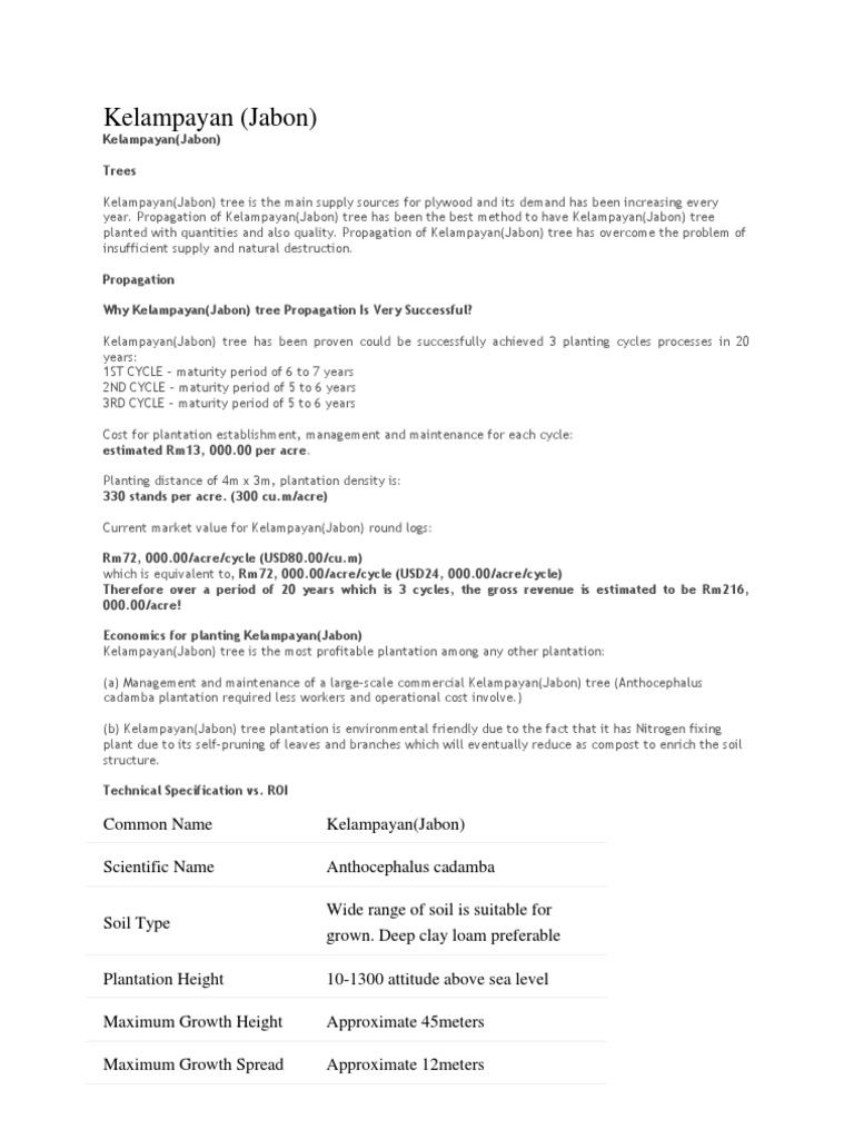 Kelampayan | Download Free PDF | Plantation | Trees