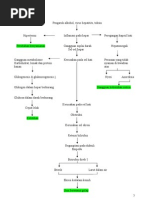 Patofisiologi Dan Pathway Diabetes Melitus | PDF
