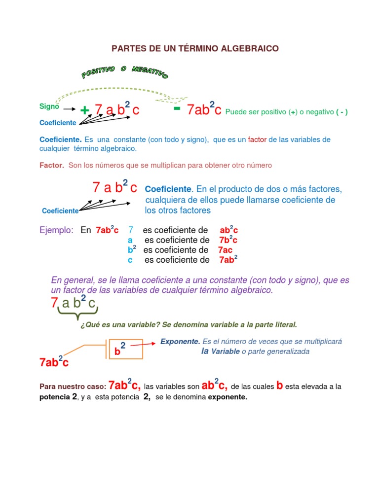 Partes de Un Termino Algebraico