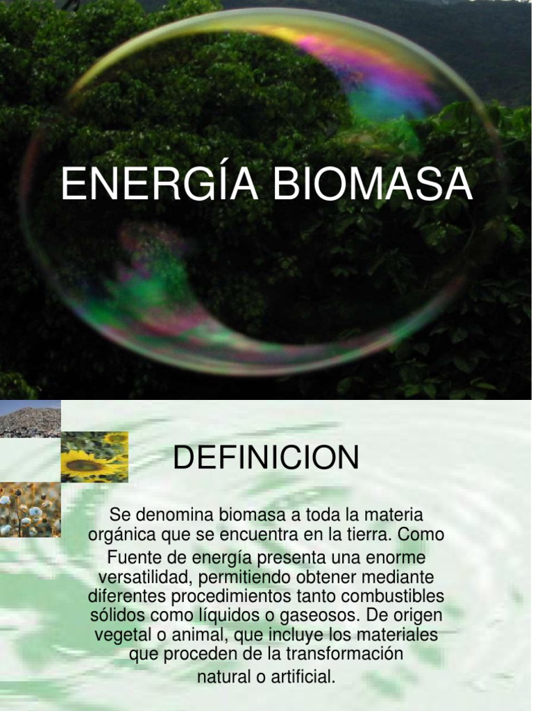 Energia Biomasa (Presentacion) | Descargar gratis PDF | Biomasa | Combustibles