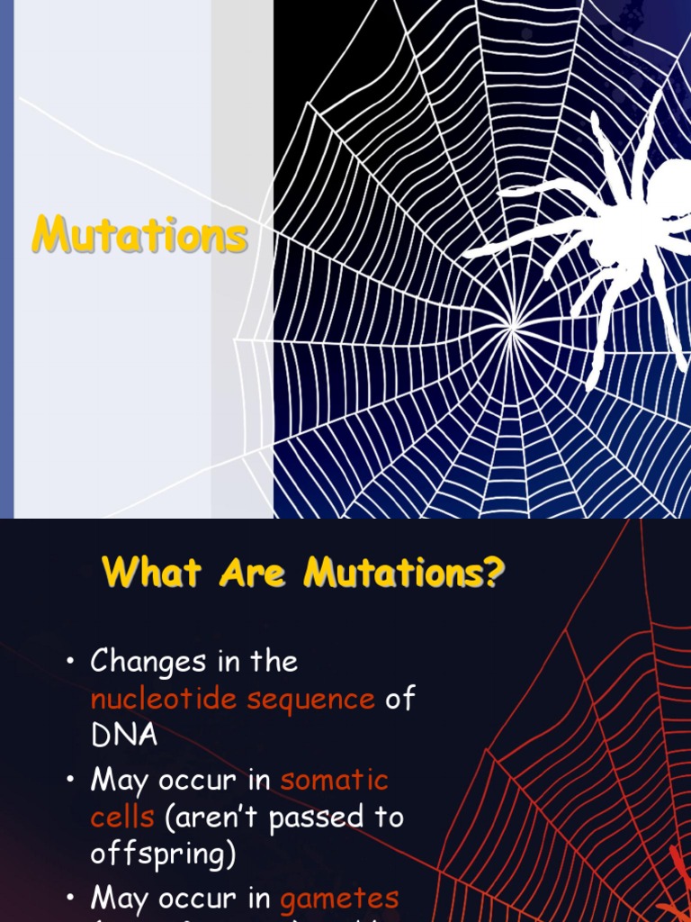 Mutations Powerpoint | PDF | Mutation | Chromosome