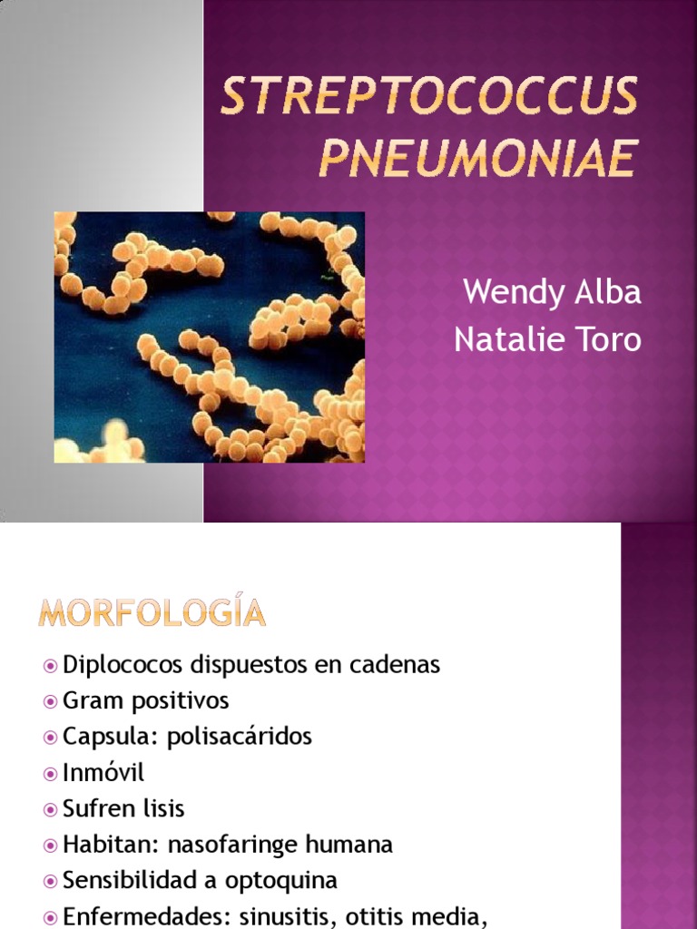 Streptococcus Pneumoniae | PDF