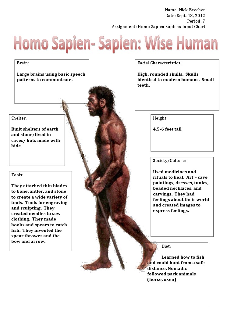 Homo Sapien Sapiens Overview Chart | PDF | Homo | Human