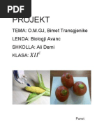 Qeliza Bimore Dhe Qeliza Shtazore | PDF