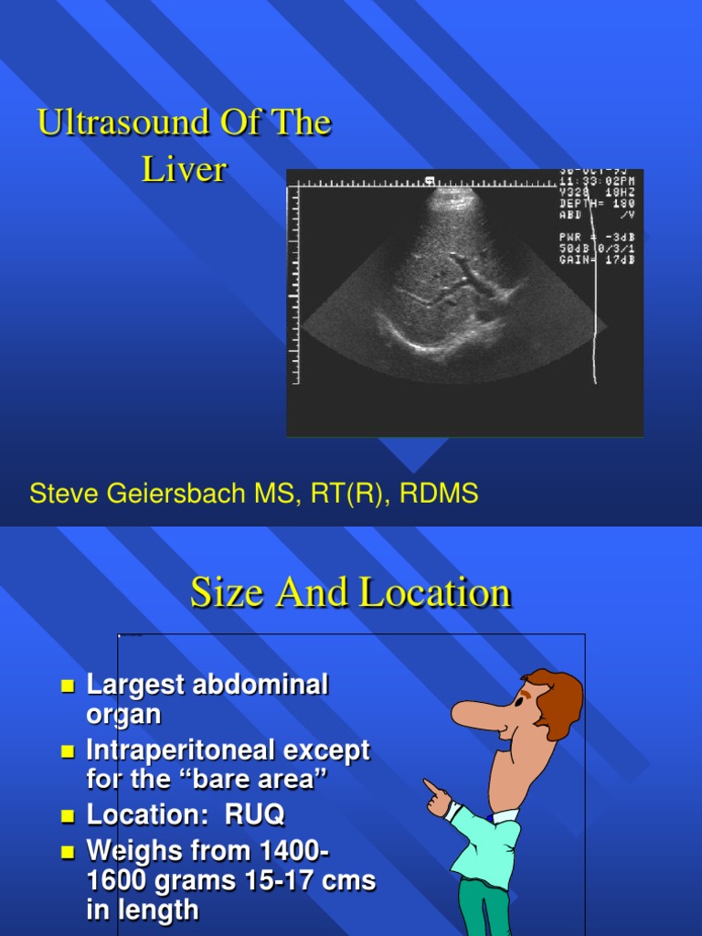 Ultrasound of The Liver | PDF | Liver | Anatomy