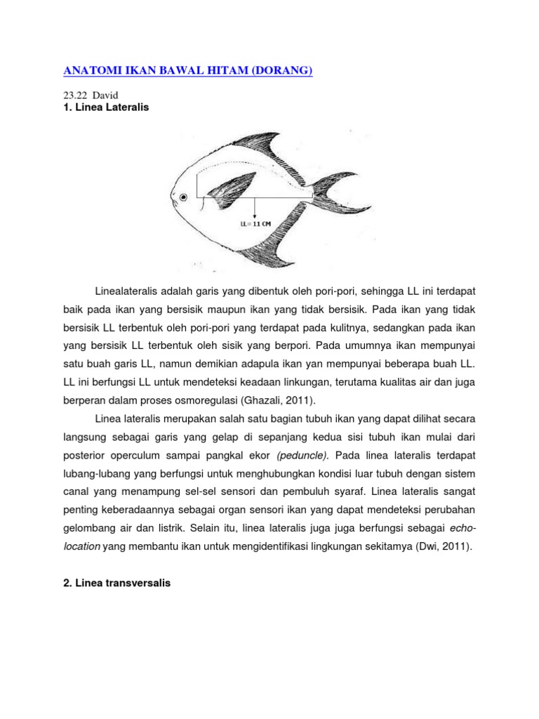 Anatomi Ikan Bawal Hitam - Wadjo.12 | PDF | Kajian Bahasa Asing ...
