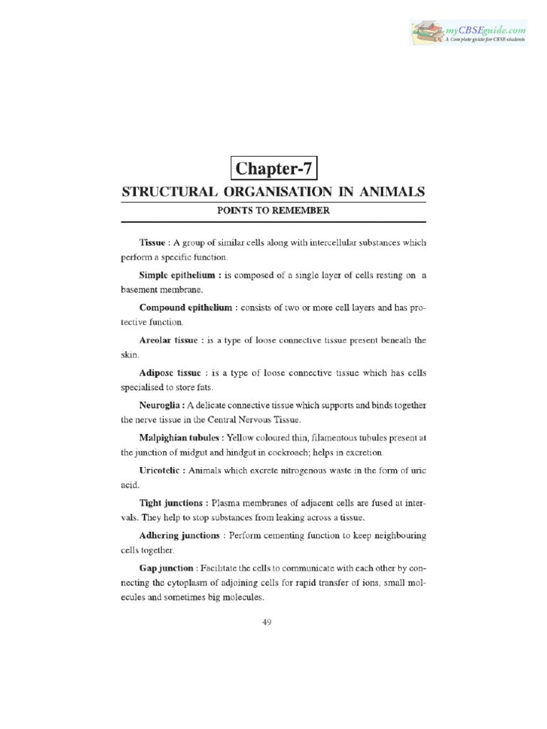 CBSE Class 11 Biology, Structural Organisation in Animals | PDF ...