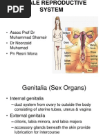 Physiology of Puberty and Menstruation | PDF | Puberty | Mammal Reproductive System