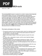 BBCH Scale: A Global Phenology Tool | PDF | Cucurbita | Cabbage