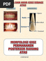 Tabel Waktu Erupsi Gigi | PDF | Seni & Disiplin Bahasa | Kajian Bahasa ...